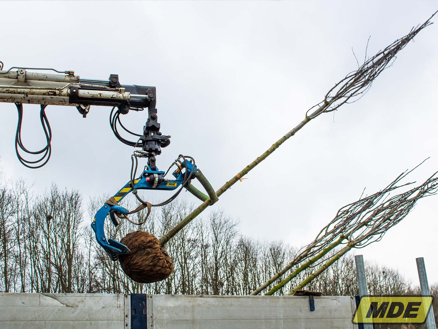 MDE Tree Loading Clamp | Loading Trees | MDE Machinebouw