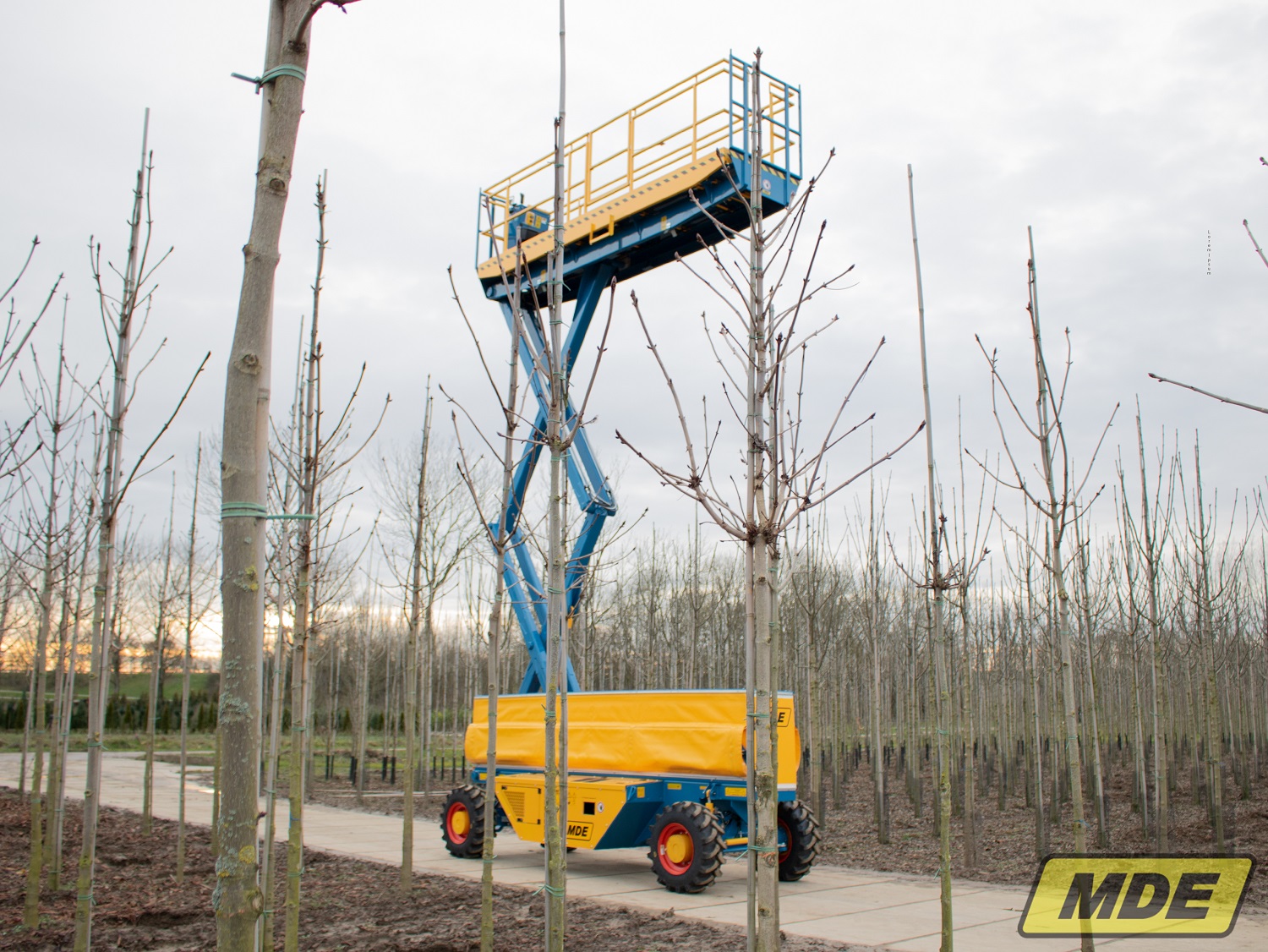 MDE Pruning platform Quatro 600 - Powerful boom lift for nurseries